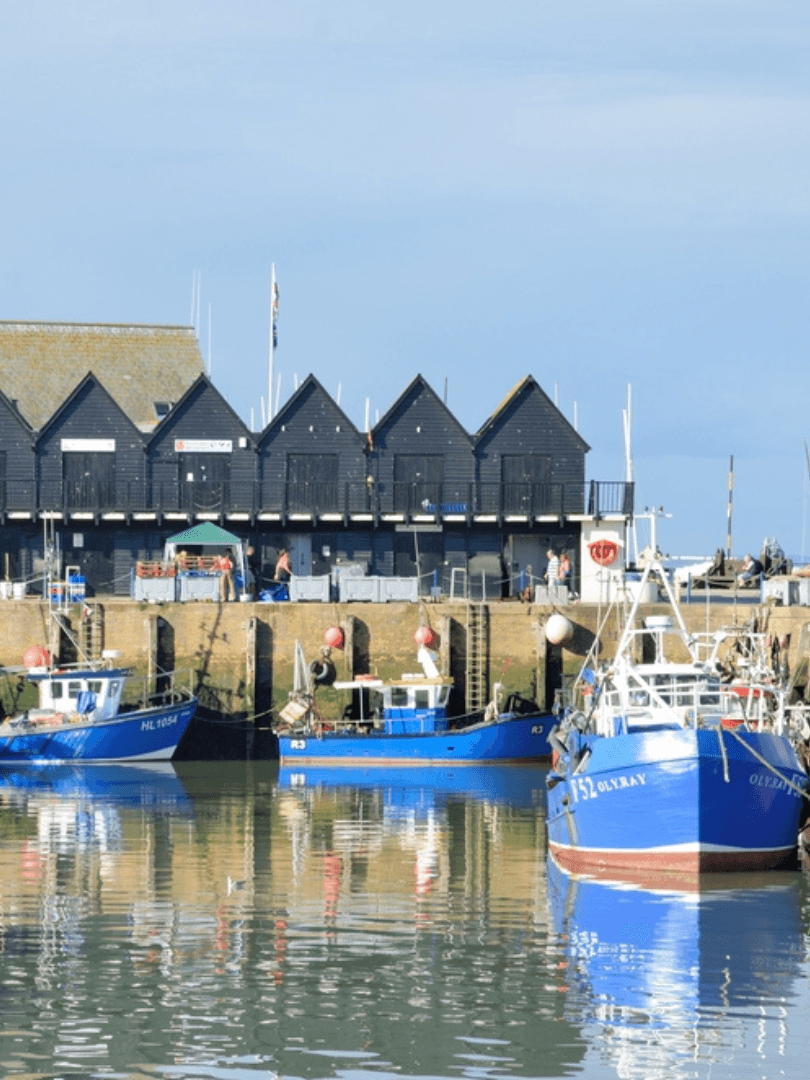 Vintage Harbour | We source for you